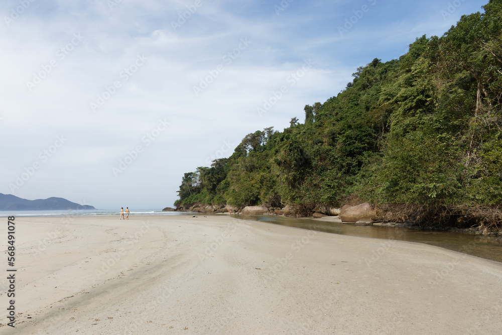 Desert tropical beach, near the forest in Dois Rios, Brazil. Amazing ...