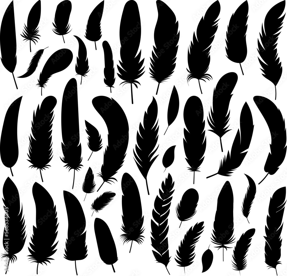 bird feather collection, set silhouette isolated, vector Stock Vector ...