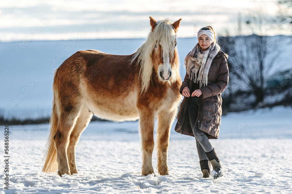 Cute equestrian and horse friendship scene: A young teenage girl ...