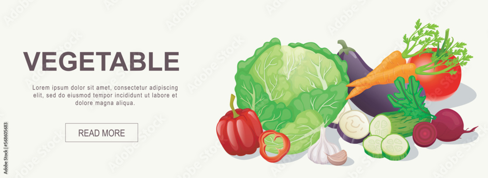Vegetable horizontal web banner. Cabbage, pepper, garlic, cucumber ...