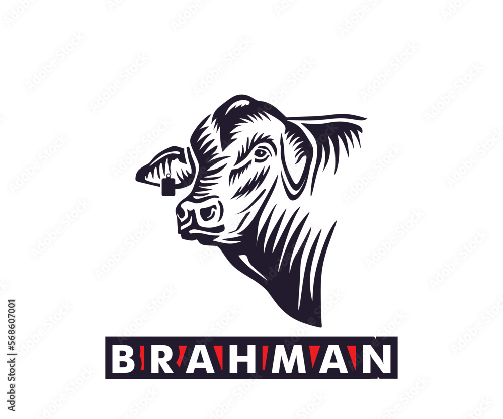 BRAHMAN CATTLE HEAD LOGO, silhouette of great bull head vector ...