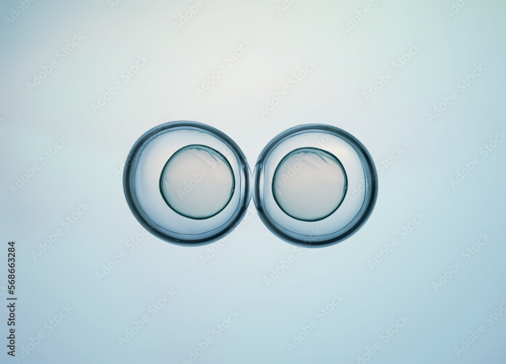Cells division process, Cell divides into two cells Stock Photo | Adobe ...