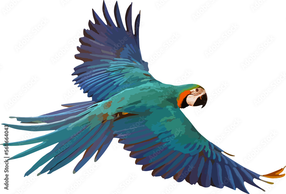 Colorful Blue and gold macaw parrot isolated on transparent background ...