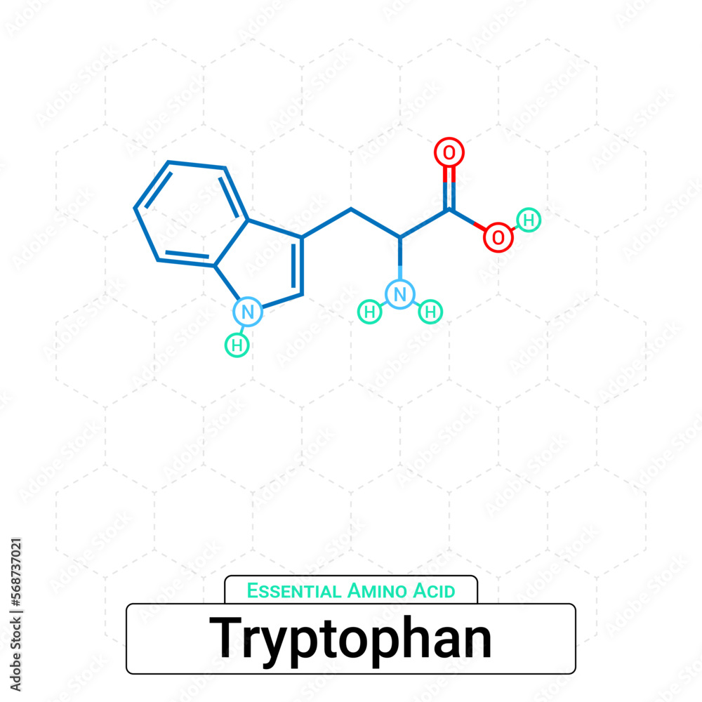 Tryptophan Chemical Structure Essential Amino Acid Organic Molecules ...