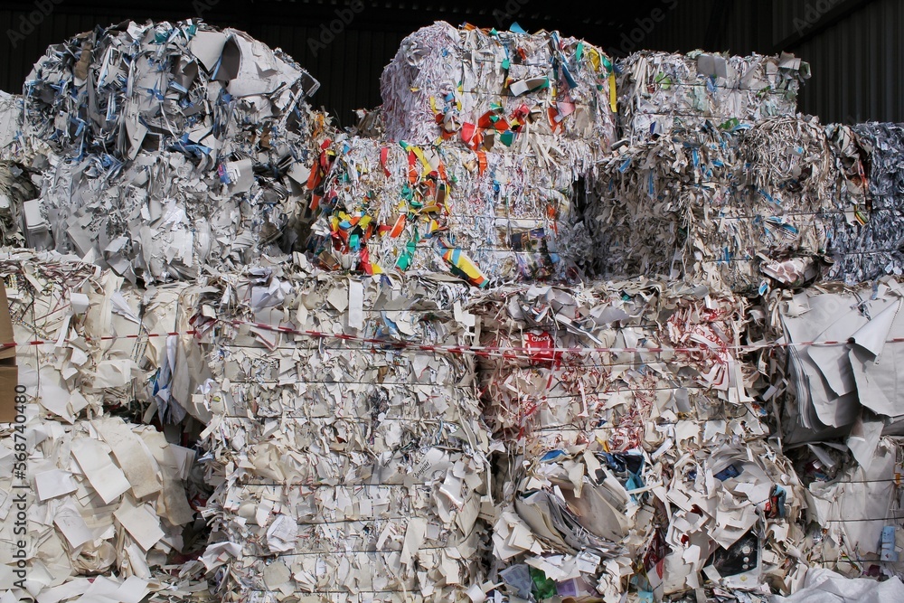 Wastepaper compact texture pile for recycling on sorting plant ...