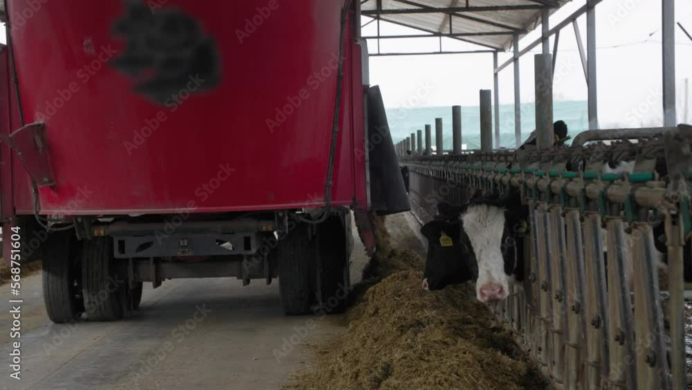 advanced technology, automated tractor-trailer transports combined feed ...