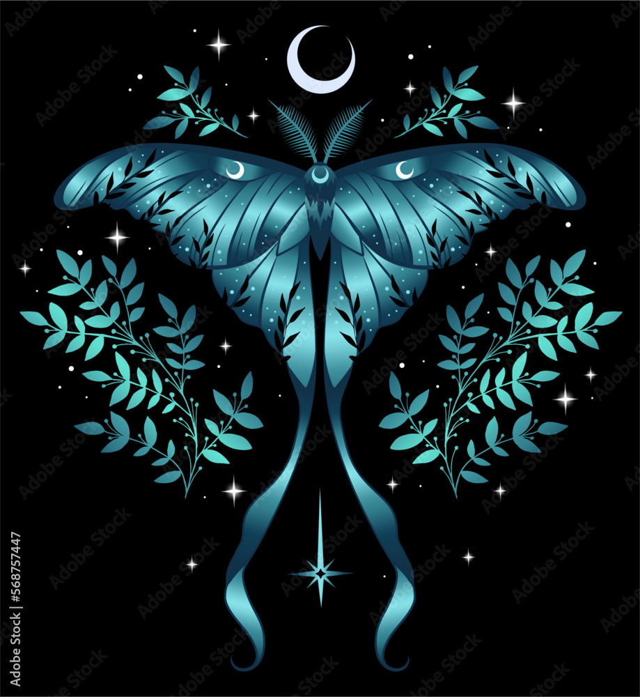 Vector illustration of moon moth. For print for T-shirts and bags ...