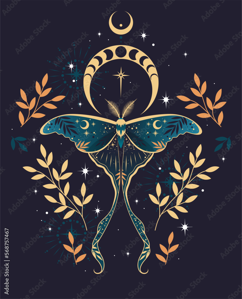 Vector illustration of moon moth. For print for T-shirts and bags ...