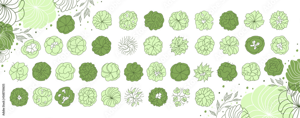 Tree for architectural floor plans. Entourage design. Various trees ...