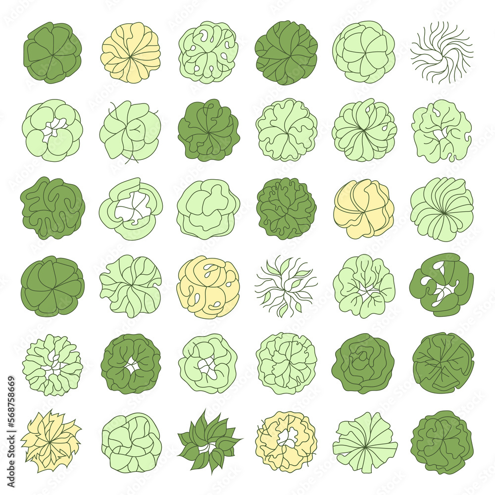 Tree for architectural floor plans. Entourage design. Various trees ...