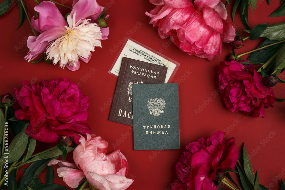 Russian documents for employment: employment record book, passport ...