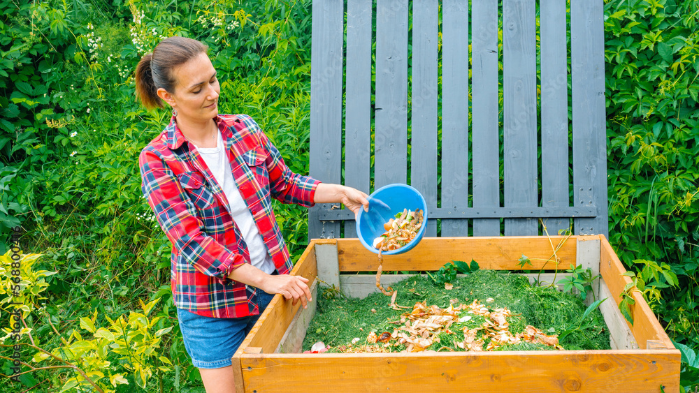 DIY wooden compost bin close up. A woman throws food waste into a ...