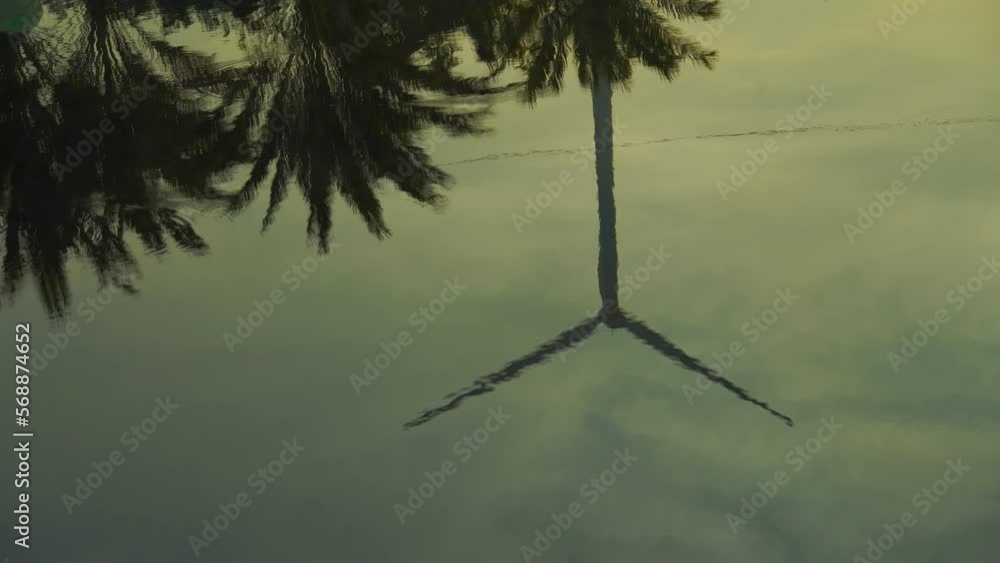 wind turbine reflection in water in morning. renewable energy.renewable ...