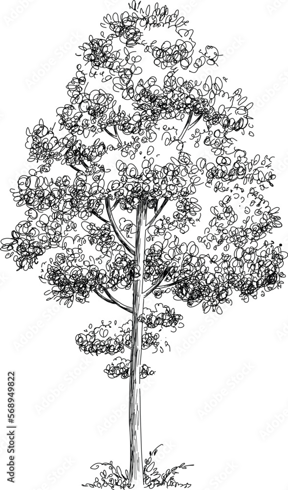 Plant tree forest icon outline, hand drawn vector. Garden drawing Stock ...