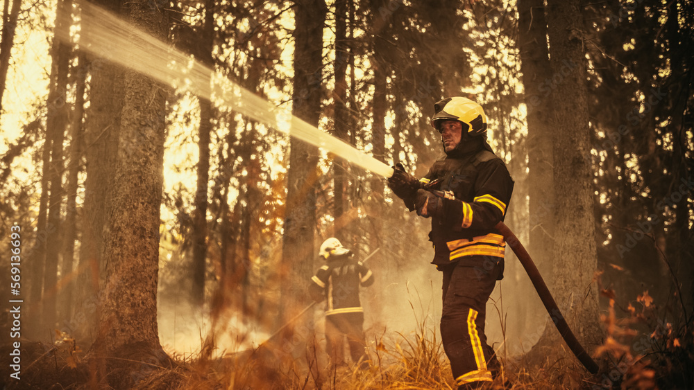 Experienced Firefighter Extinguishing a Wildland Fire Deep in a Forest ...
