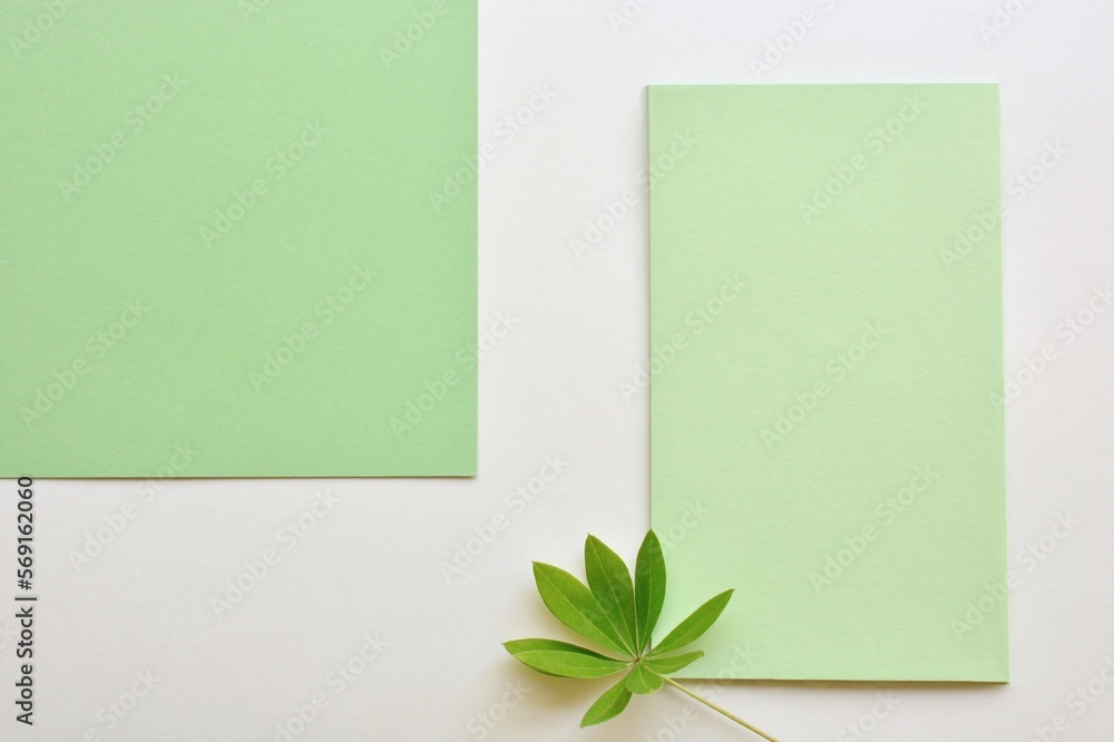 Mockup of two blank light green cards on white background with green ...