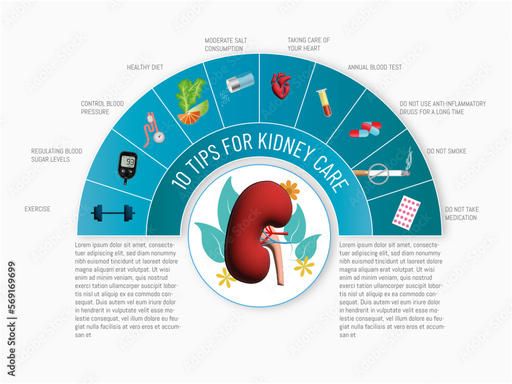 10 indications to have your kidney healthy.semicircular infographic ...