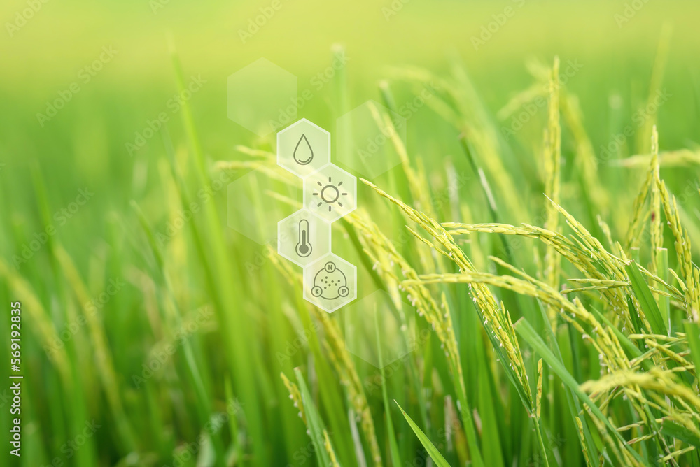 Smart farm digital icon and futuristic AI data infographic of Landscape ...