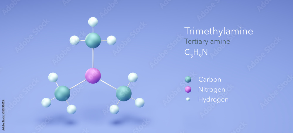 trimethylamine molecule, molecular structures, tertiary amine, 3d model ...