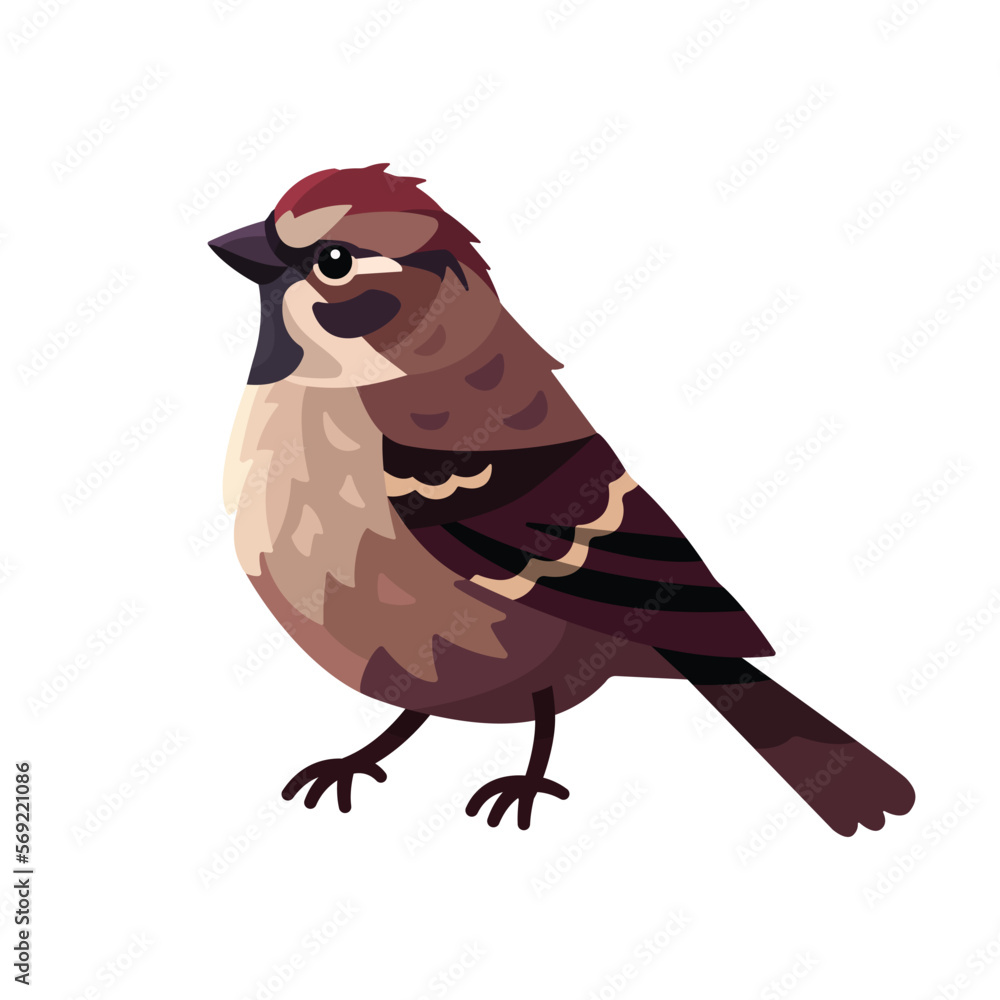 Sparrow vector flat illustration isolated on white background. bird ...