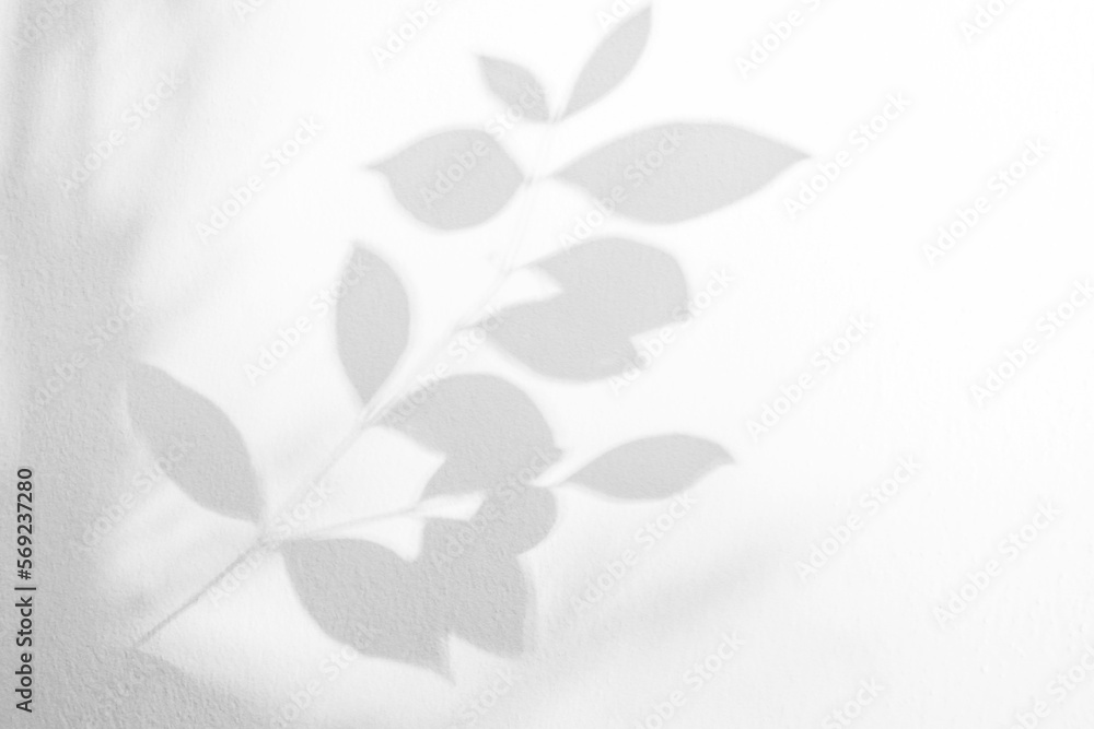 Leaf shadow and light on wall background. Nature tropical leaves tree ...