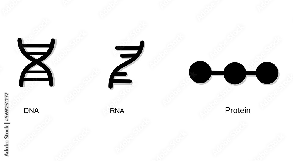 The molecular biology icon of DNA RNA and protein in black color ...