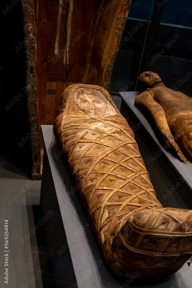 Liverpool World Museum Mummy Room. Mummified remains of a boy wrapped ...