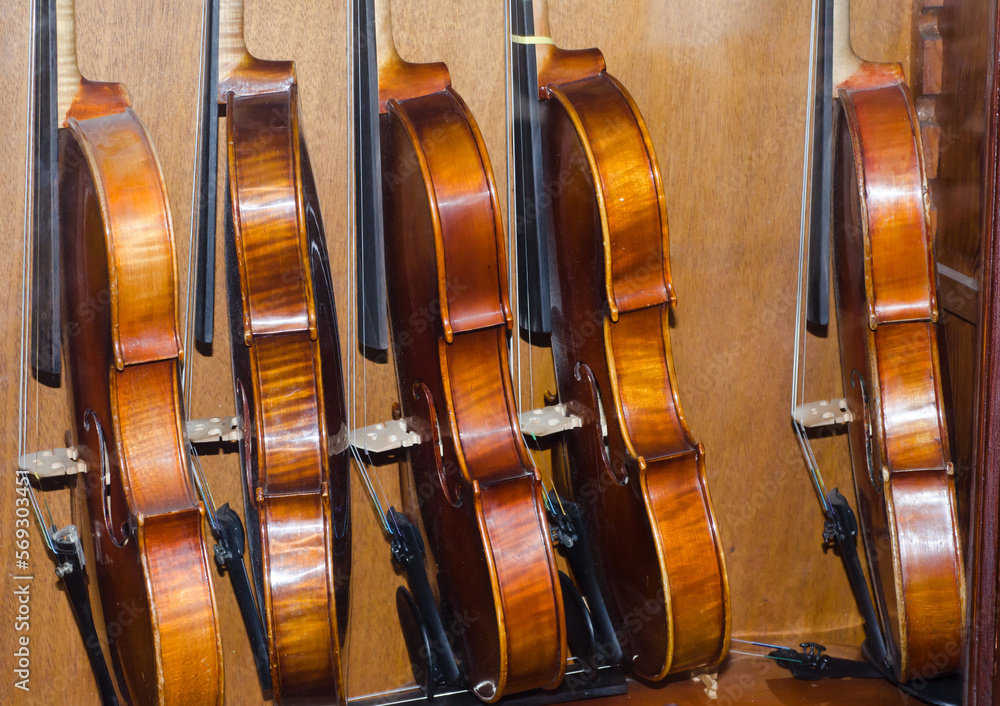 Many Violins Side By Side in Switzerland. Stock Photo | Adobe Stock