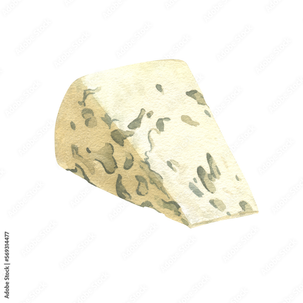 Watercolor block of blue cheese delicious mold, soft milk dairy product ...