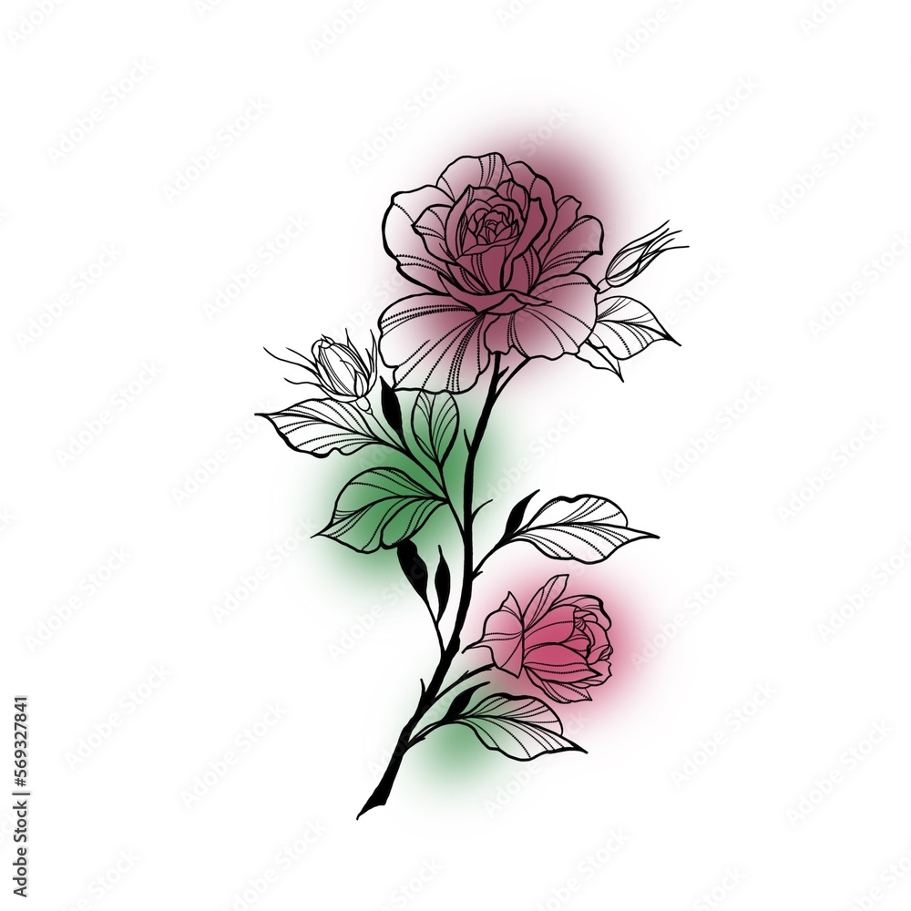 detailed sketch of a rose flower on a red blur background. rose tattoo ...