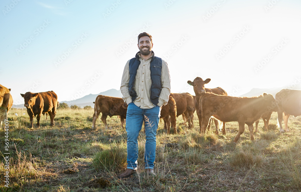 Sustainability, farming and portrait of man with cows on field, happy ...