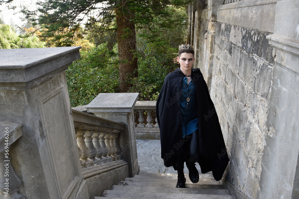 portrait of handsome brunette man wearing fantasy medieval prince ...