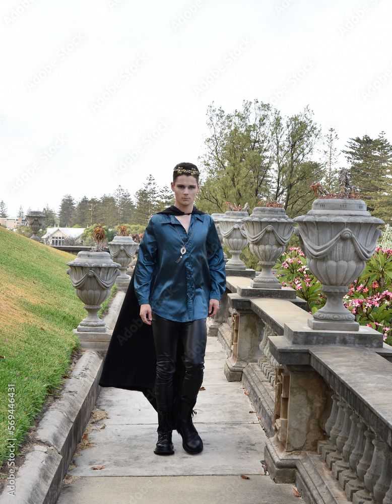 portrait of handsome brunette man wearing fantasy medieval prince ...