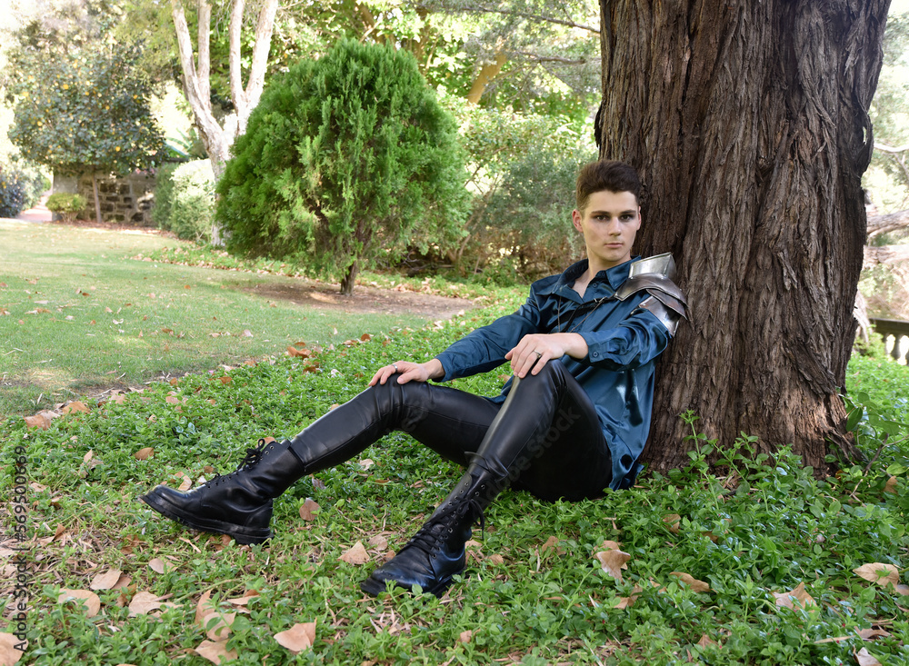 Medieval Prince Attire