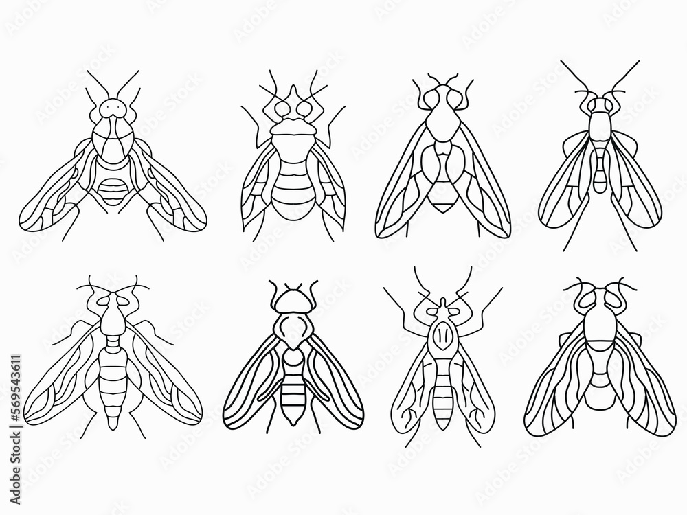 fly insect outline icon set.fly line art vector illustration collection ...