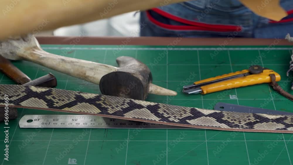 Vidéo Stock 4K, Snakeskin close-up cut out in long straight line, there ...