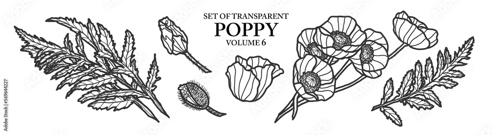 Cute hand drawn isolated gray outline poppy on transparent background ...