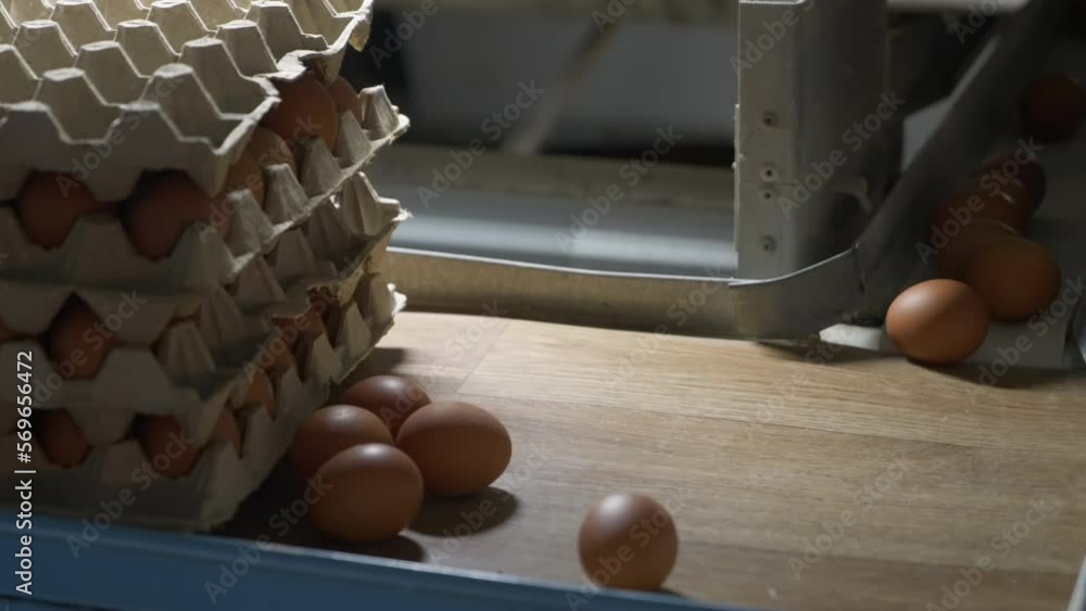 Stockvideo Organic Eggs Production Process At Poultry Farm. Brown Eggs ...