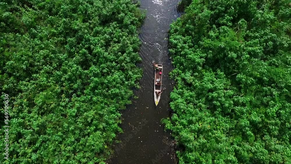 Amazon river crossed by boat with natives coming out of the thick ...