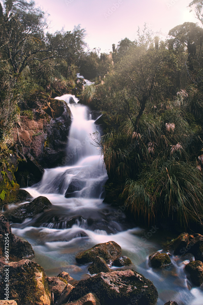 Quebrada o riachielo con efecto seda en medio del páramo con luz cálida ...