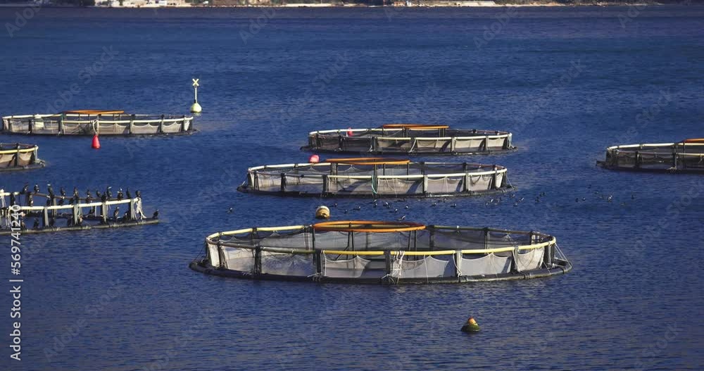 View of sea fish farm cages and fishing nets, farming dorado, sea bream ...
