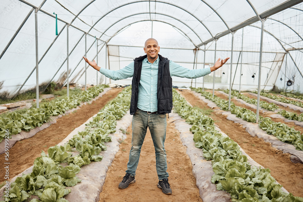 Farmer, portrait or arms up in farming success, greenhouse vegetable ...