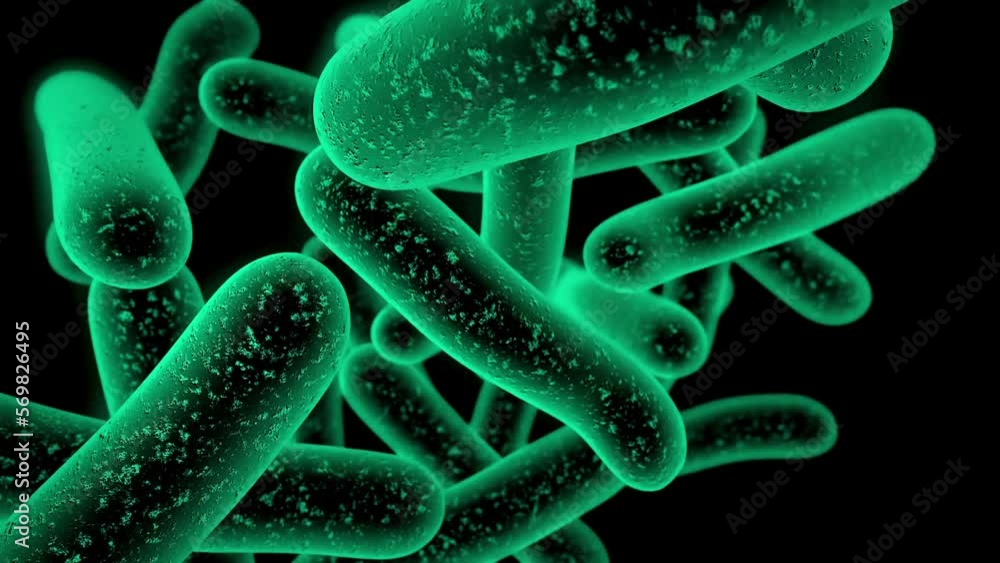 Vidéo Stock animated bacteria cell and virus microscope 3d healthcare ...