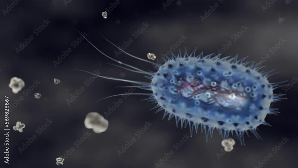 Microscopic Bacteria floating under microscope animation in black ...