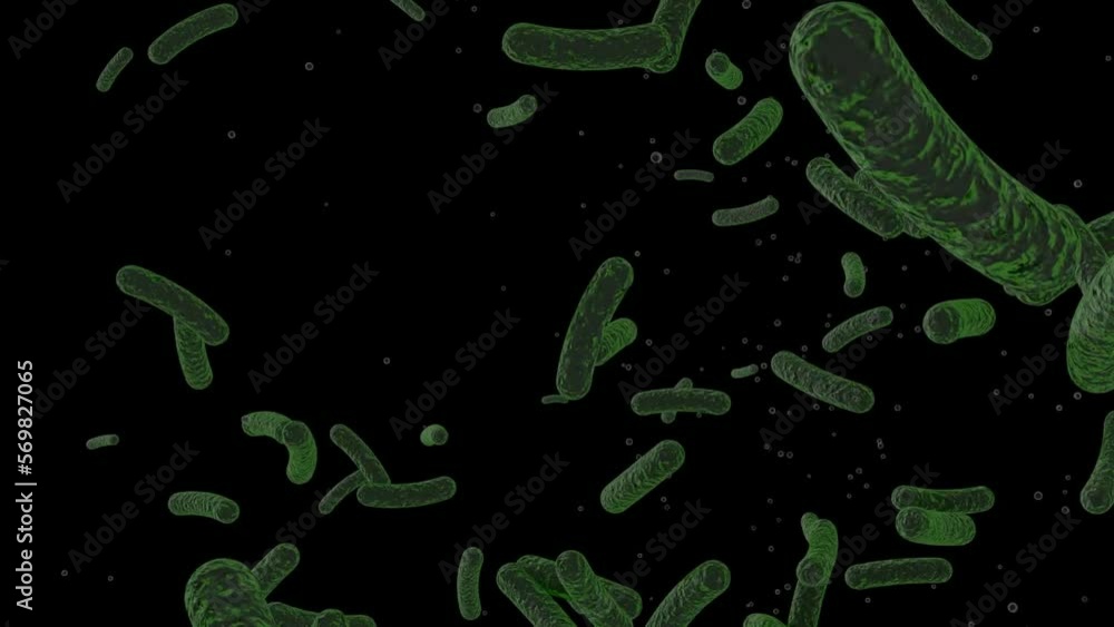 Microscopic Bacteria floating under microscope animation in black ...