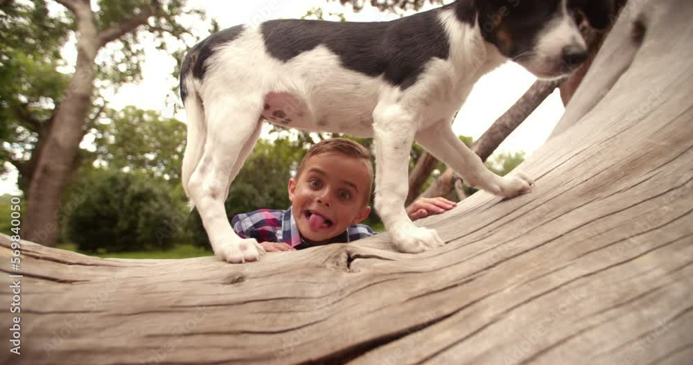 Little Boy and his cute puppy dog sitting on tree branch in park. The ...