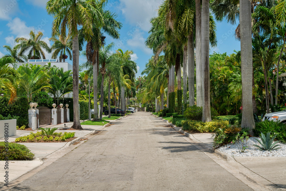 Street on a quiet wealthy neighborhood at Miami, Florida. There is a ...