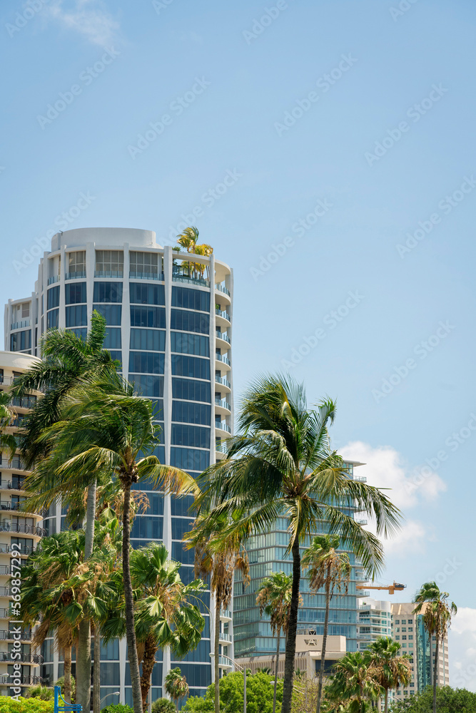 Coconut trees on a street with views of round condominium building at ...