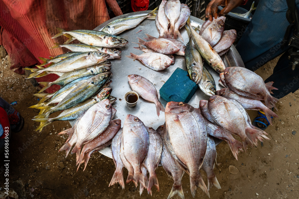 des poissons exposés au marché dans le quartier de Ouakam à Dakar au ...