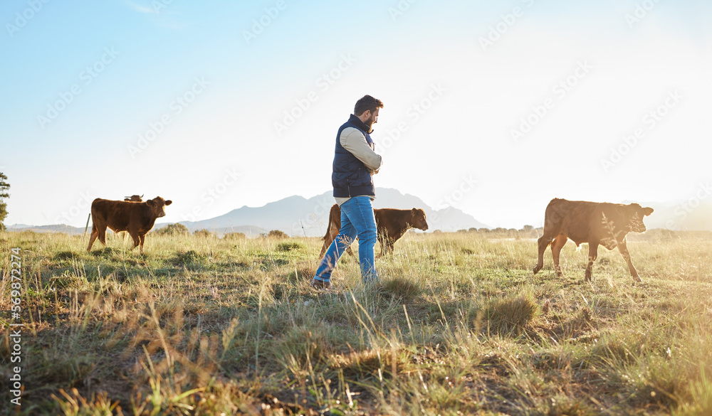 Man, farmer and animals in the countryside for agriculture, travel or ...